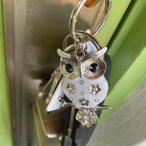 Owl Keychain Personalized Owl Gifts for Women Owl Jewelry Owl Lover ...
