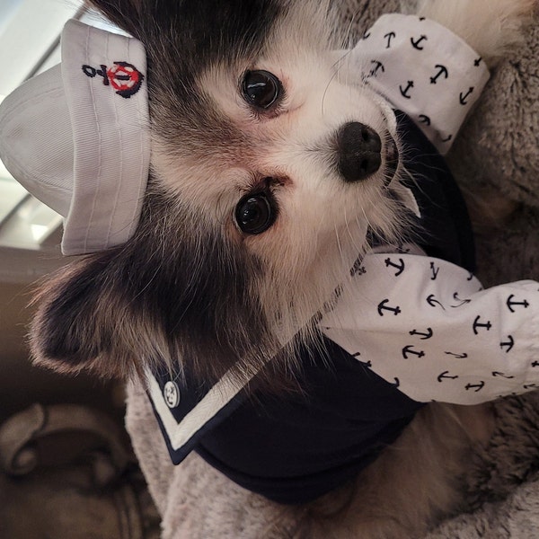 Dogs Sailor Hat, Cape Set! HANDMADE Dog Hats, Dog Caps, Marine Hat ...