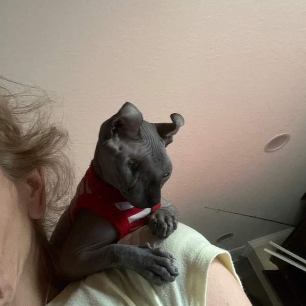 Cat Eye Patch Cotton Custom Designs Cotton Fabric NO Felt - Etsy