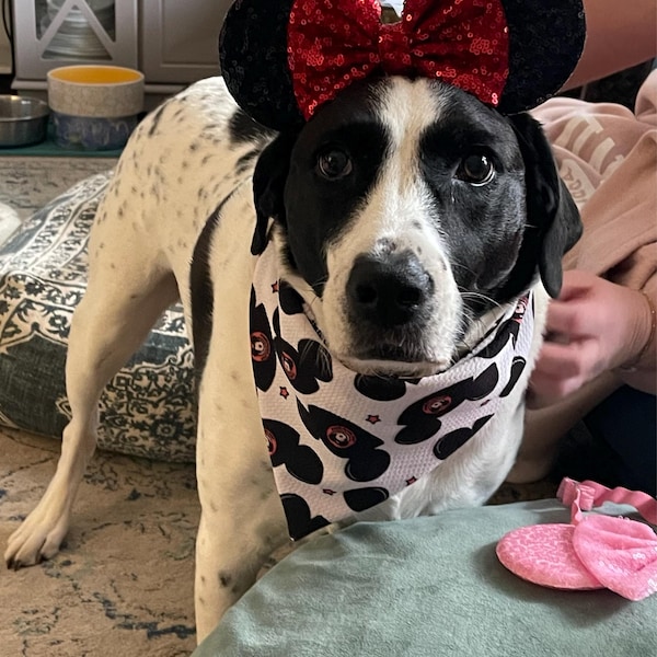 Bride Hat, Bride Baseball Hat, Bride Gift, White Pearl Bride Baseball ...