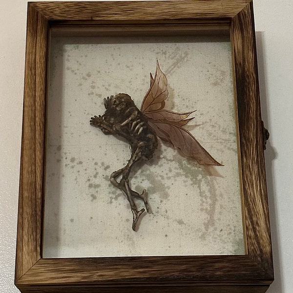 Dead Fairy Display Case - Etsy