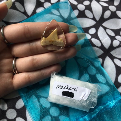 Resin Leopard Gecko - Etsy