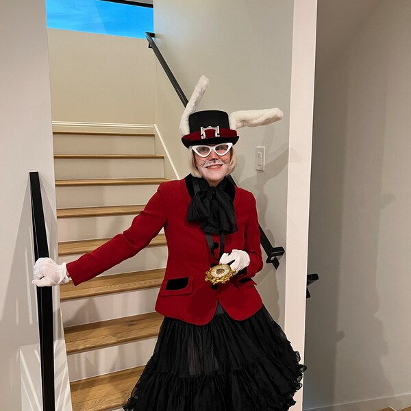 Diner Waitress 50-60s Flo Alice Pink Shirt Dress Yellow Apron Hanky Pin ...