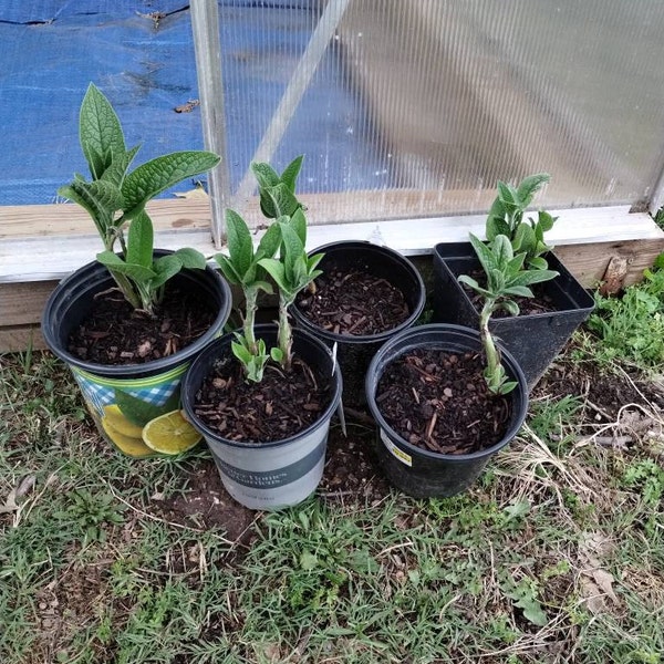 Grinch Ornament Custom/personalized laser Cut Wood 3D - Etsy