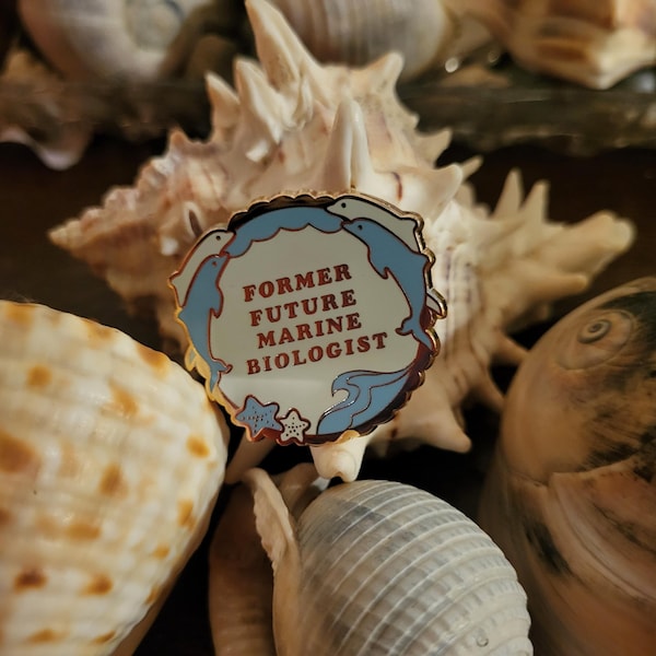 Pink Pony Club Bumper Sticker – Yeehaw Energy for Your Ride Inspired by ...