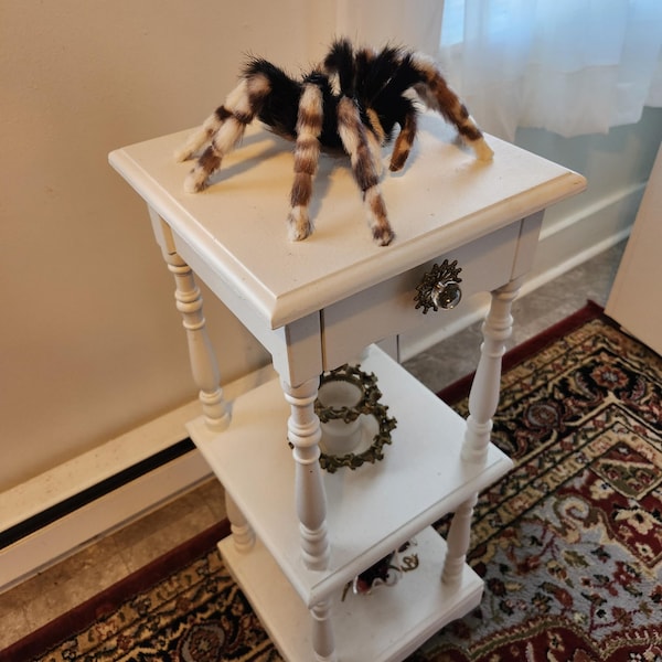 Realistic Tarantula Spider Poseable Shelf Decor Wall Mountable Faux ...