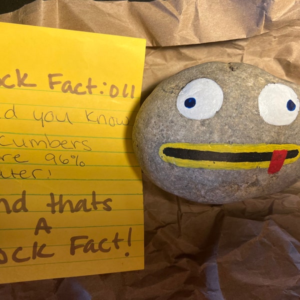 Rock Fact Garden Rock Decor Paperweight Otgw Inspired Painted Rock - Etsy