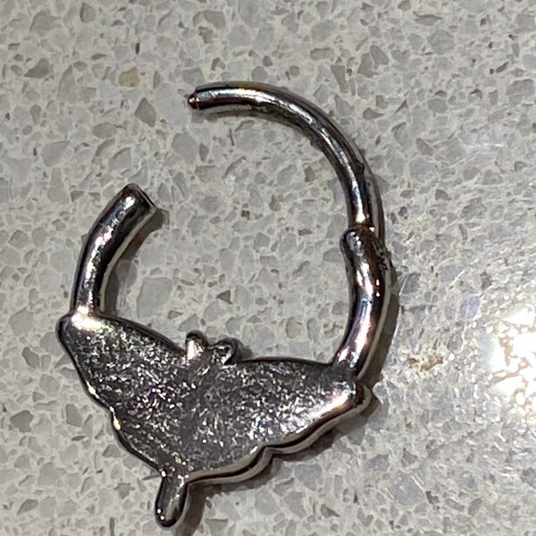 16G Abalone Shell Moth Septum Ring/hinged Segment Septum Clicker/daith ...