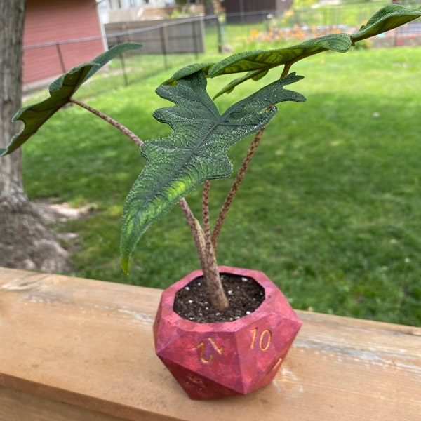 D20 Planter | Dnd Dice | 3D Printed | Hand-painted | Houseplants Pots ...