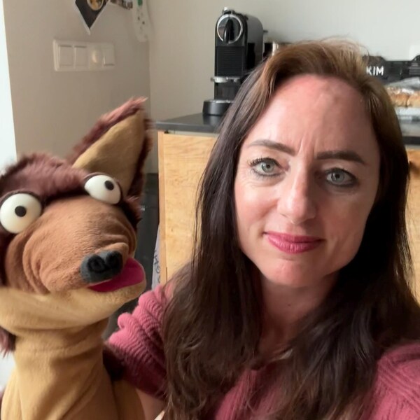 Vampire Bat Handmade Professional Puppet | Bat Plushie With Movable ...