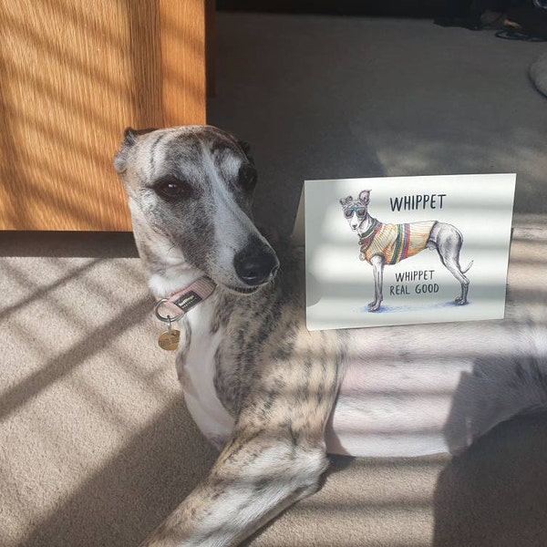 Whippet Card - Whippet - Whippet Greyhound - 80s Birthday Card - Dog ...