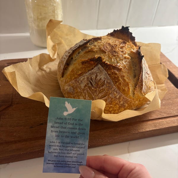 5000+ Year Old Red Sea Egyptian Sourdough Starter Live Ready to Bake or ...