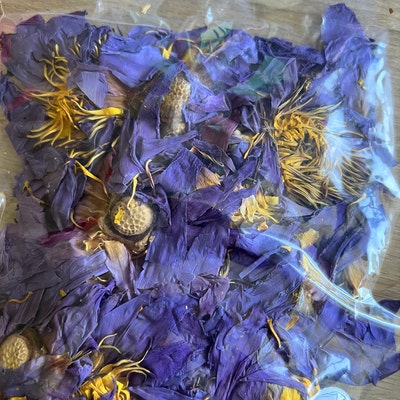 200 Bael Leaves, Dried Bilva Leaves,dried Bel Patra,dried Leaves - Etsy