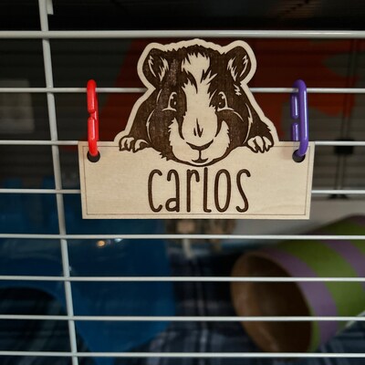 Guinea Pig Cage Tag, Personalized, Custom, Engraved Wood, Pet Guinea ...
