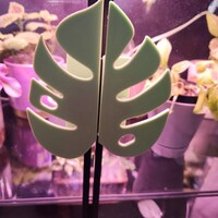 Plant Trellis Cebu Blue Pothos Plant Art Plant Decor - Etsy Canada