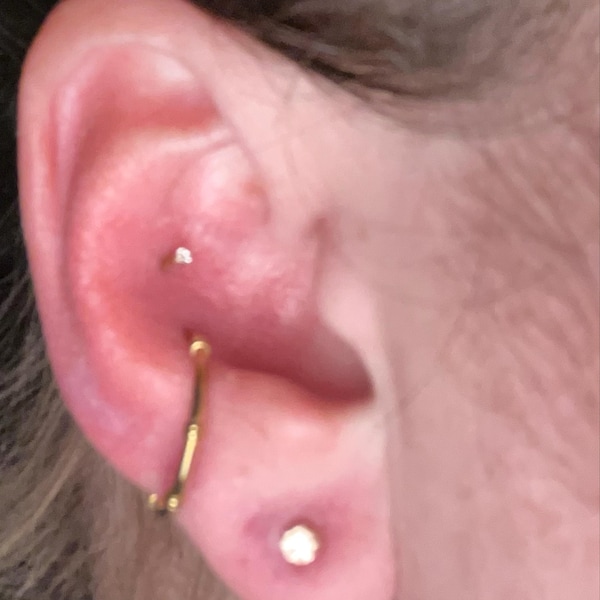 ASTM F136 Titanium Marquise Twist Conch Clicker Hoop, 10mm, 12mm Gold ...
