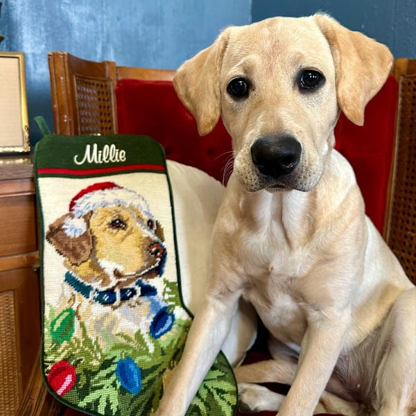 Yellow Lab Dog Stocking | Personalized Needlepoint Christmas Stockings ...