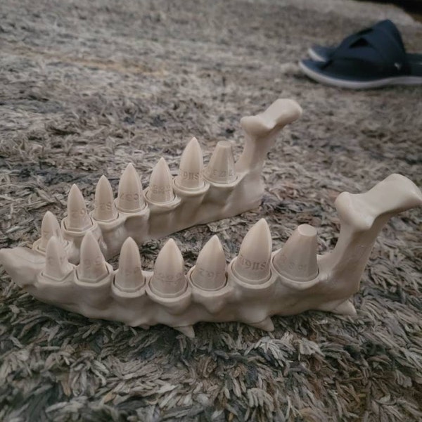 Dragon Teeth Dice Set - Etsy