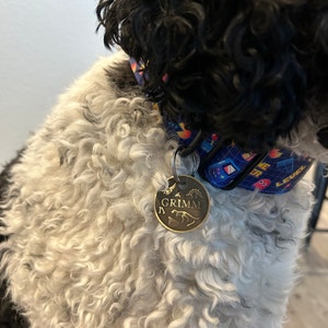 Ivy Dog Tag, Ivy Leaf, Pet ID Tag, Cat ID Tag, Personalized Dog Tag ...