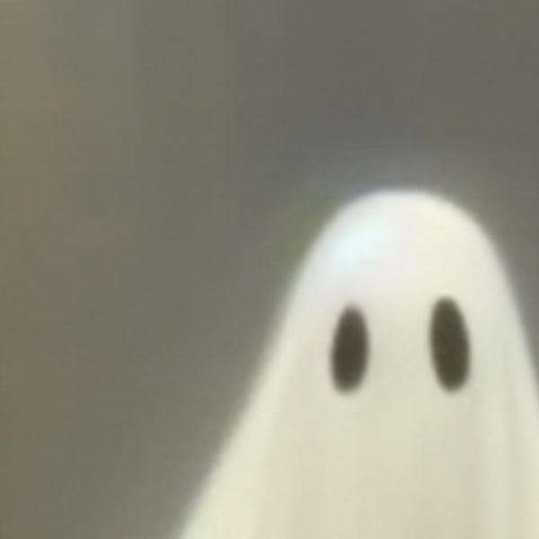 Spring Decor Wildflower Print Moody Spring Wall Art Dark Academia Decor ...