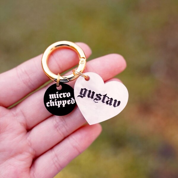 Squiggle Arch Rainbow Iridescent Acrylic Earrings - Etsy