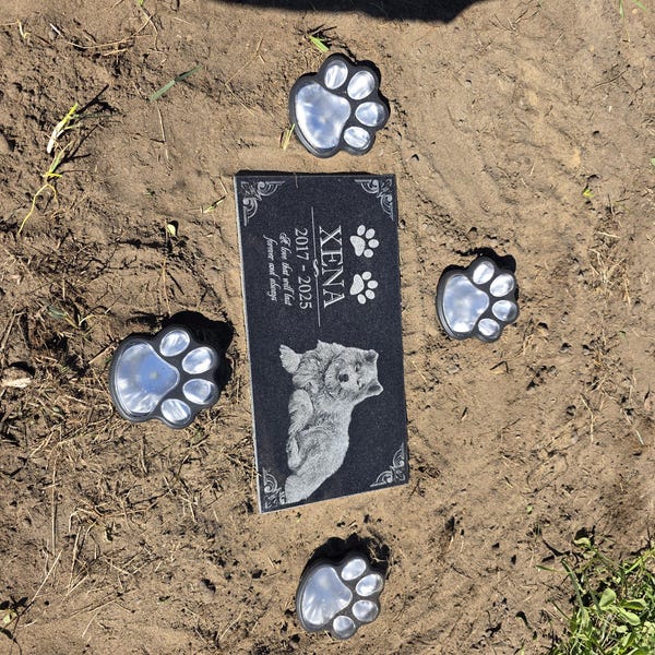 Custom Fish Memorial Stone: Goldfish Betta Koi Guppy | Loss of Pet Fish ...