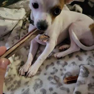 Personalized LED Dog Tag Light up Dog Tag Color Changing Stocking ...