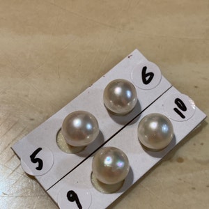 16.9x14.0mm Natural Deep Sea Angel Skin Color Coral Oval | Etsy