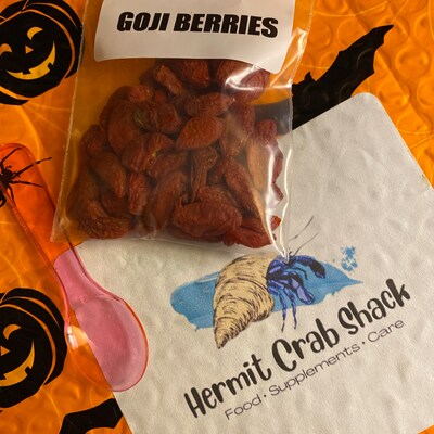 Organic Coconut Flour Hermit Crab Food - Etsy