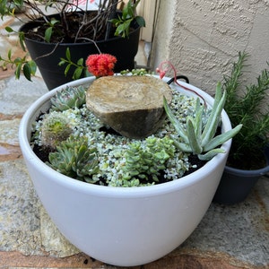 Fountain Basin Bird Bath Fountain Rock Garden Bird Bath - Etsy