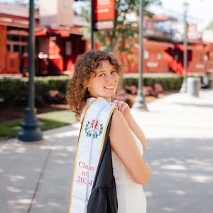 Delta Sigma Pi Graduation Stole Sash - Etsy