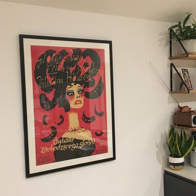 Polish Movie Poster Dumbo Walt Disney Productions Great Huskowska ...