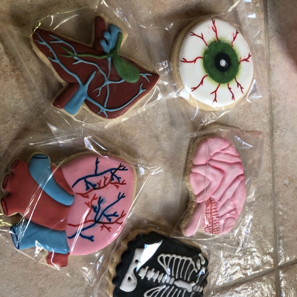 Organ/body Sugar Cookies (60 Cookies) - Etsy