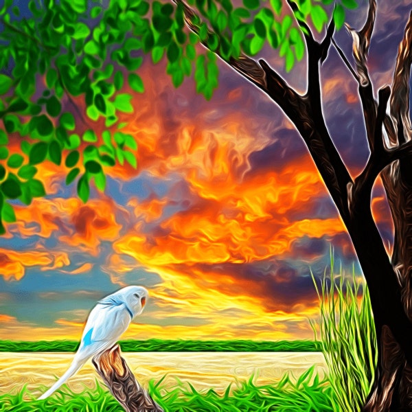 20 PNG Buildings Skyscraper Overlays With Transparent Backgrounds ...