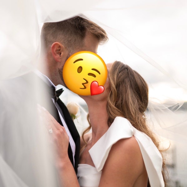 Sheer Veil, Simple Wedding Veil, Cut Edge Veil, Chapel Veil, Cathedral ...