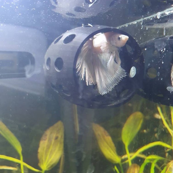 Aquarium Floating Plant Blocker. Aquarium Filter Corral. HOB System ...