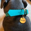 REINFORCED Deeply Engraved Solid Brass Dog Tag, 27mm Round - Etsy