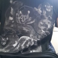 Cute Rat T-shirt, Pastel Goth Clothing, Soft Grunge Shirt, Nu Goth ...