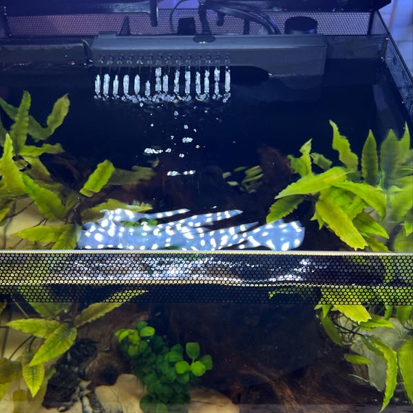 Water Control Valve and Spray Bar for the Fluval Flex 9 Gal. (34L) and ...
