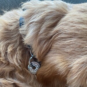 Funky Design Dog ID Disc Tag. Stainless Steel Washer Style. FREE ...