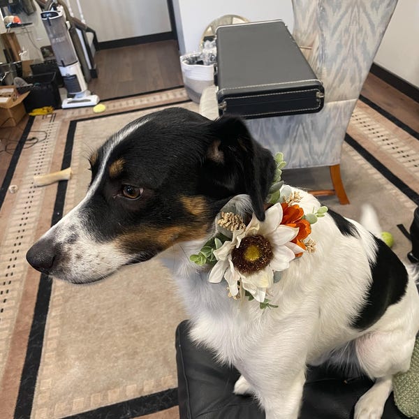 Terracotta Wedding Collar | the Chauncy | Rust and Burnt Orange ...
