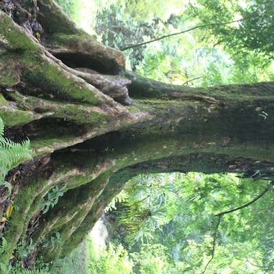 Monogram Letter Runner, Scroll Accent Runner,natural Burlap Table ...