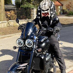 Panda Motorcycle Helmet. DOT&ECE Approved. New Model Moto | Etsy