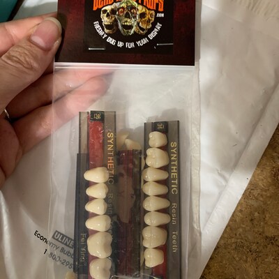 Halloween Horror Prop Life Size Realistic Resin Full Mouth Set of Teeth ...