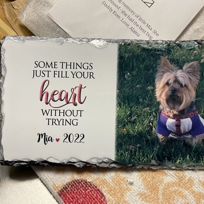 Memorial Gift in Memory of Dog Gift for Pet Loss Dog - Etsy