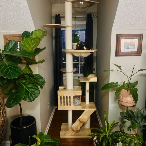Rubber Wood Cat Tree Floor to Ceiling, No Drilling, Adjustable Height ...