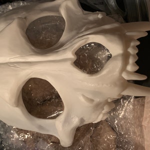 Eagle Skull Mask Blank Hawk Skull Face Mask Raptor Skull - Etsy