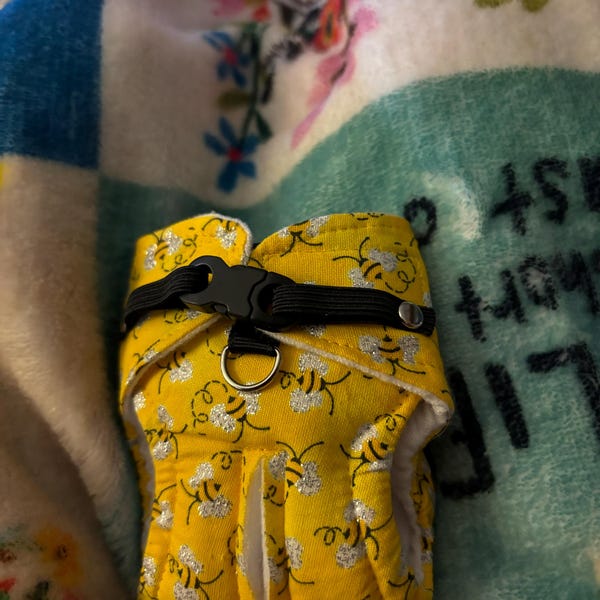 CAPUCHIN DIAPER SET in Dinosaurs - Etsy