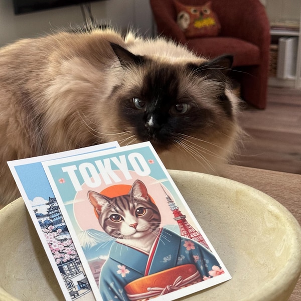 Safari Animal Postcards Set - Cute Animals in Nature | Giraffe, Zebra ...