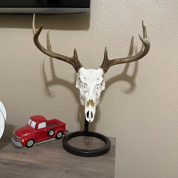 Bull Bracket by Skull Bracket, World's Strongest Skull Hanger for Big ...